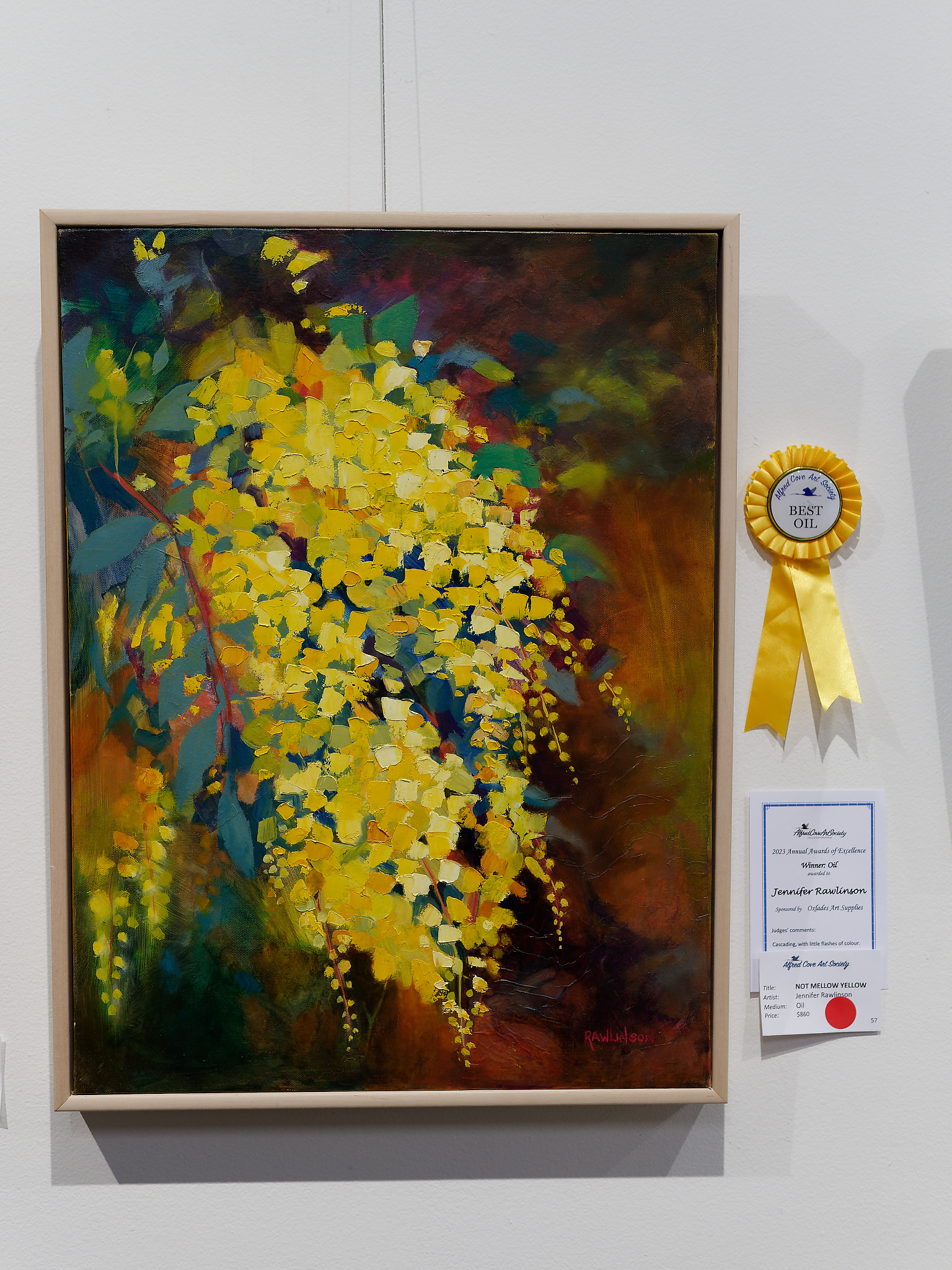 Photos 2023 – Alfred Cove Art Society